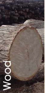 Antoine Youssef Achaia Sons