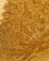 Antoine Youssef Achaia Sons